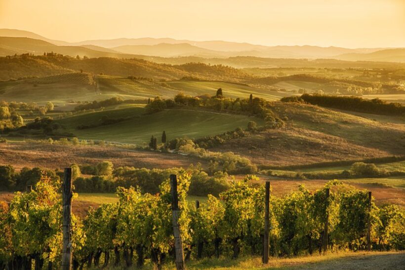 From Rome: Discover Florence and Pisa in a Full-Day Tour - An Introduction to the Tour Experience