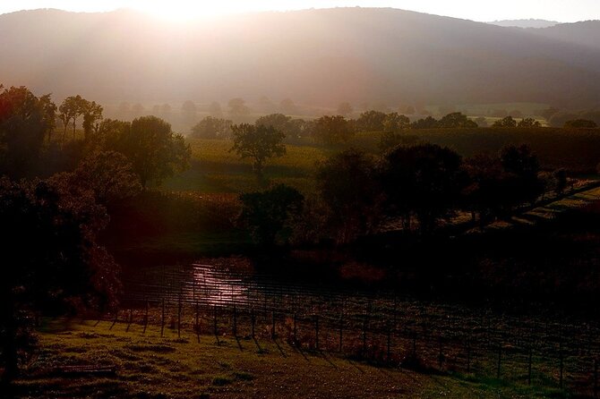 From Rome: Hidden Tuscany Day Trip with Lunch and Wine Tastings - What’s Included & Practical Details