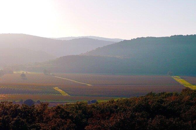 From Rome: Hidden Tuscany Day Trip with Lunch and Wine Tastings - The Sum Up: Is It Worth It?