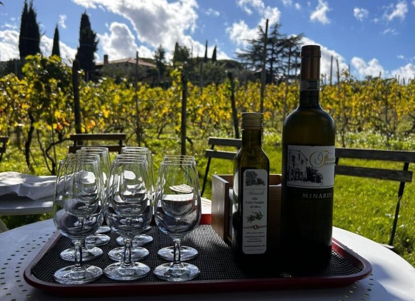 From Rome: Pasta Masterclass & Wine Tour in the Vineyard - Key Points