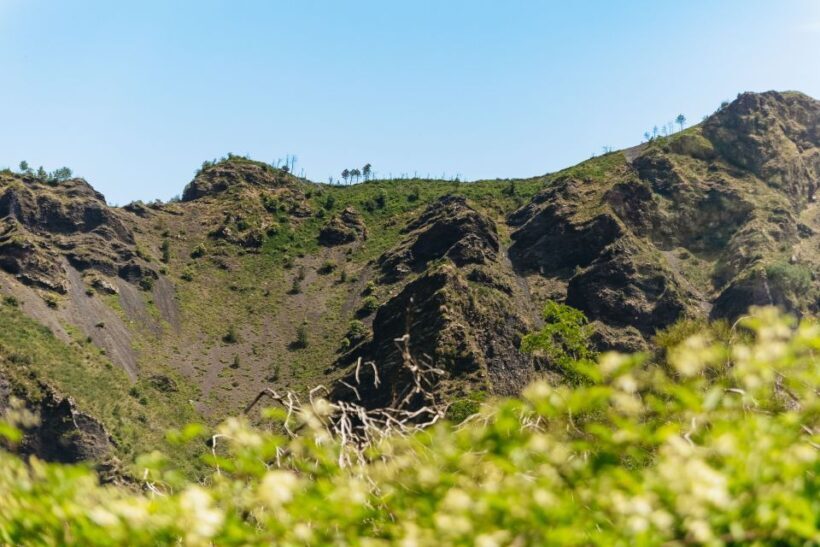 From Rome: Pompeii and Mount Vesuvius Day Trip with Lunch - Frequently Asked Questions