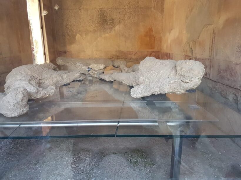From Rome: Pompeii and Naples with Lunch, Private Day Tour - Key Points