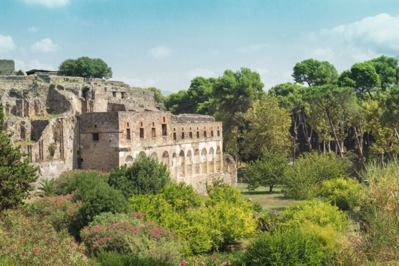 From Rome: Pompeii Private Full-Day Trip with Tour - Key Points