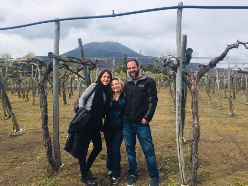 From Rome: Pompeii Ruins and Mt. Vesuvius with Lunch&Wine - Who Will Love This Tour?