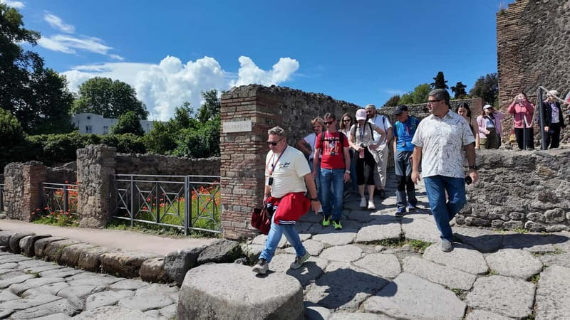 From Rome: Pompeii Ruins Tour with Expert Guide & Fast Train - Post-Guided Exploration and Flexibility