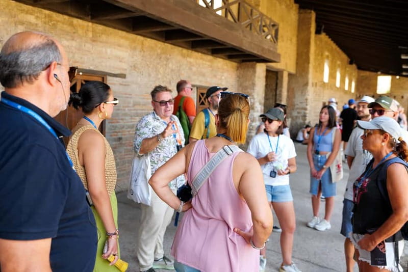 From Rome: Pompeii Ruins Tour with Expert Guide & Fast Train - The Cost and What You Get