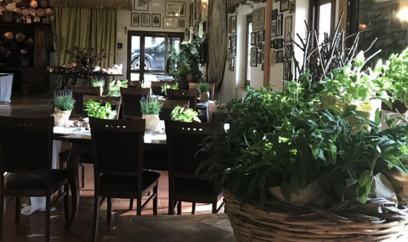 From Rome: Private Countryside Wine Tasting with Lunch - FAQs
