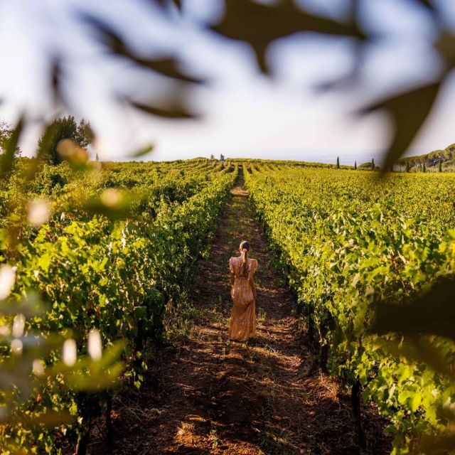 From Rome: Private Day-Tour of Tuscany - Key Points