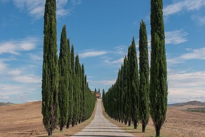 From Rome: Private Day-Tour of Tuscany - What to Expect from This Tuscany Day Trip
