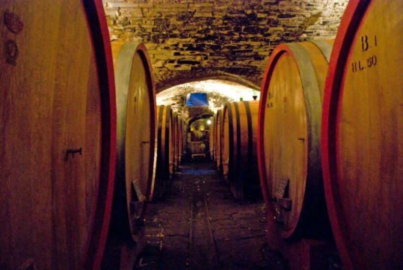 From Rome: Private Tuscany Day Trip - Final Thoughts: Who Should Book This Tour?
