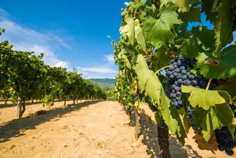 From Rome: Private Tuscany Day Trip - Frequently Asked Questions