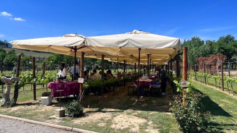 From Rome: Siena and S. Gimignano, Private Tuscan Wine Tour - Authentic Experiences and Honest Feedback