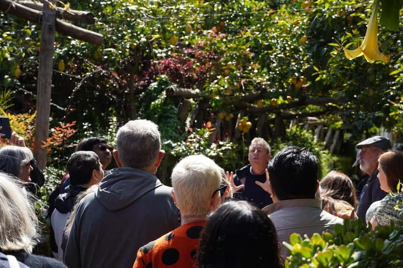 From Rome: Sorrento & Pompeii Day Trip with Guide or Ticket - What the Tour Includes and How It Works