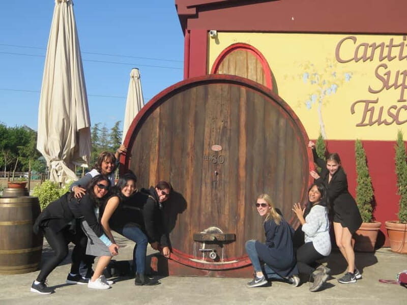 From Rome: Tuscany Wine Tour, San Gimignano & Florence - Who Will Love This Tour?