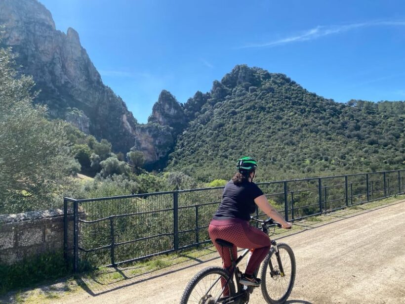 From Ronda: Via Verde de la Sierra Easy Cycling Tour - A Closer Look at the Experience