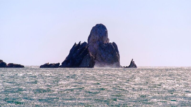 From Roses: Medes Islands Boat Tour with El Estartit Visit - FAQs