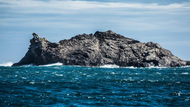 From Roses:Adventure in Cap de Creus: Discover and Swim in a Wild Cove - Key Points