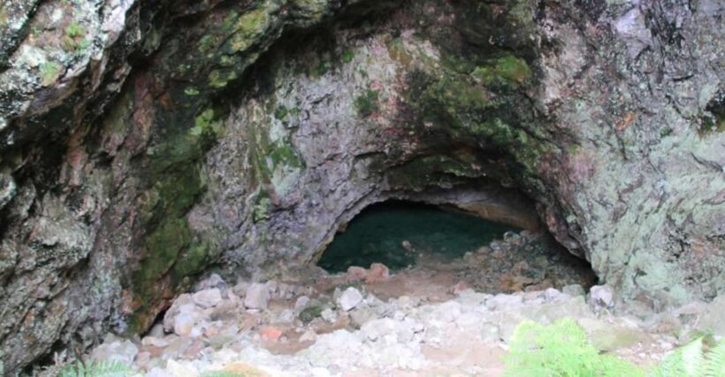 From Rotorua: Taupo Day Trip with Orakei Korako or Waiotapu - Key Points