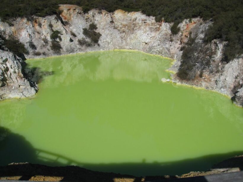 From Rotorua: Wai O Tapu & Waimangu Eco Thermal Morning Tour - What to Expect from the Rotorua Geothermal Tour