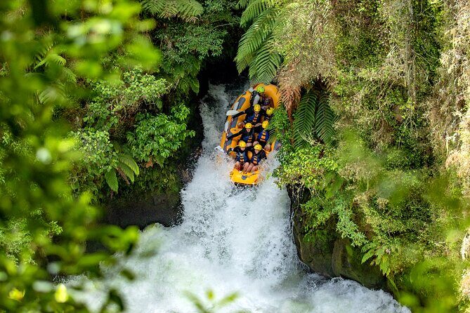 From Rotorua WAIMANGU VOLCANIC VALLEY Half Day Tour - Frying Pan Lake and Inferno Crater