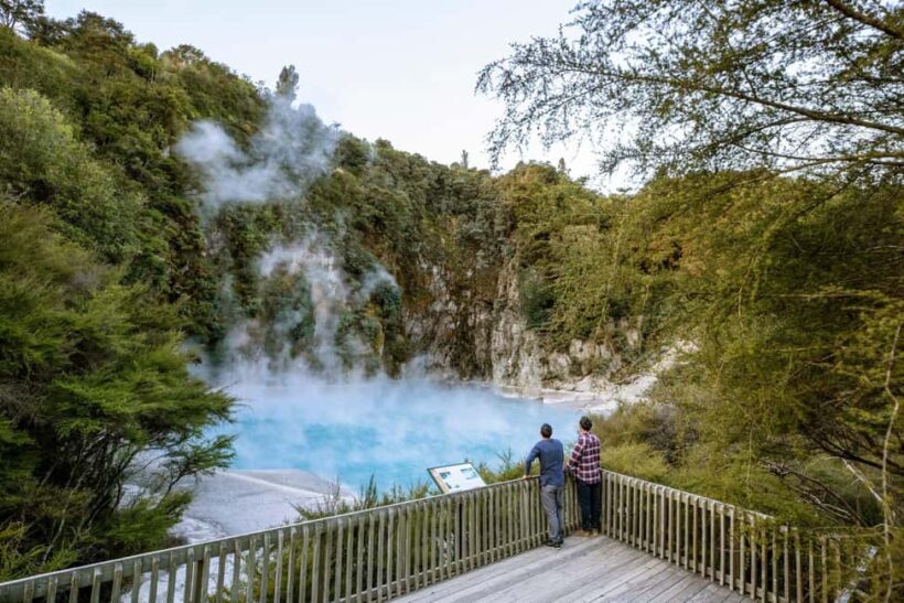 From Rotorua: WAIMANGU VOLCANIC VALLEY Half-Day Tour - Key Points
