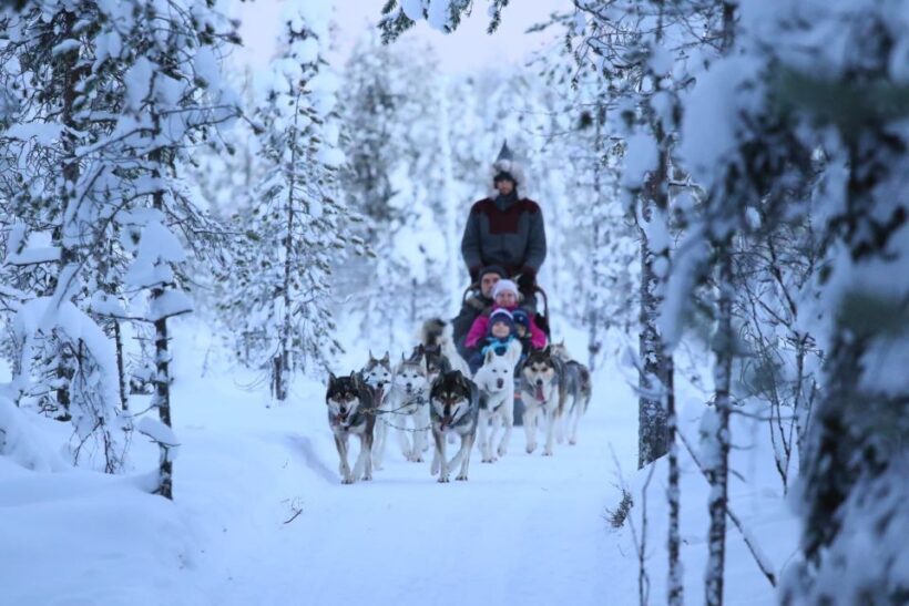 From Rovaniemi: 5km Husky Sleigh Ride - Additional Considerations