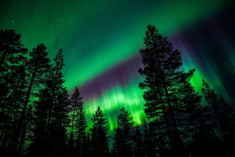 From Rovaniemi: Family-Friendly Northern Lights Tour - Key Points