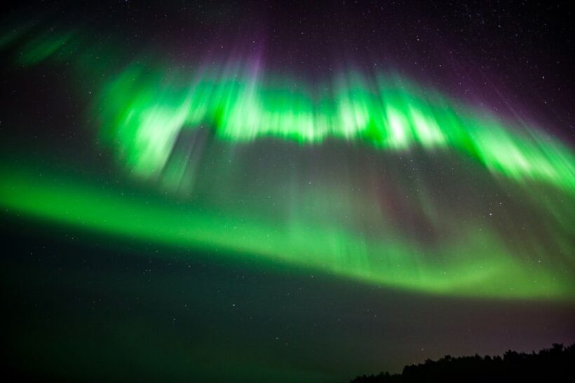 From Rovaniemi: Family-Friendly Northern Lights Tour - An Overview of the Experience