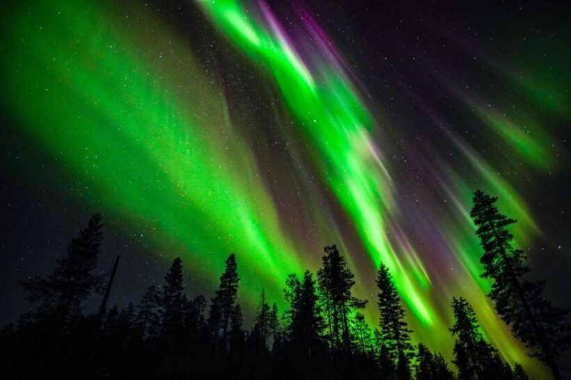 From Rovaniemi: Family-Friendly Northern Lights Tour - What’s Included & What’s Not