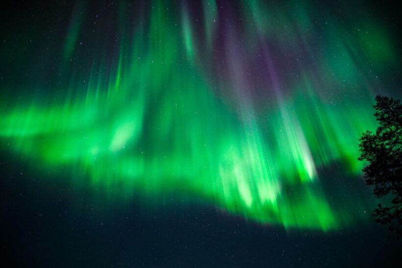 From Rovaniemi: Family-Friendly Northern Lights Tour - The Value Proposition
