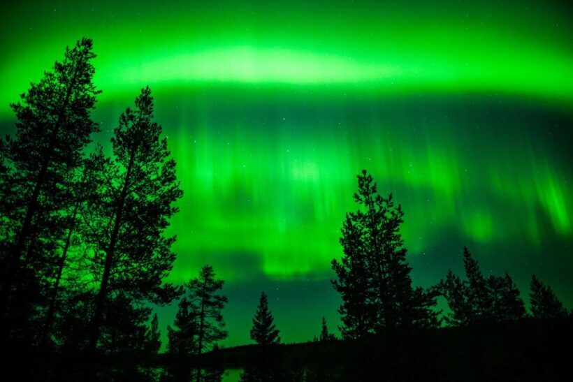 From Rovaniemi: Family-Friendly Northern Lights Tour - Final Thoughts