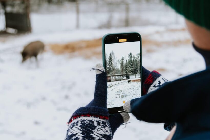 From Rovaniemi: Family Friendly Visit to Ranua Wildlife Park - What Makes This Tour Stand Out?