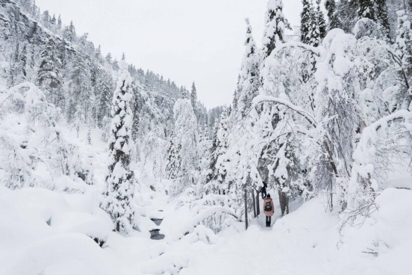 From Rovaniemi: Frozen Waterfalls of Korouoma Full-Day Tour - Key Points
