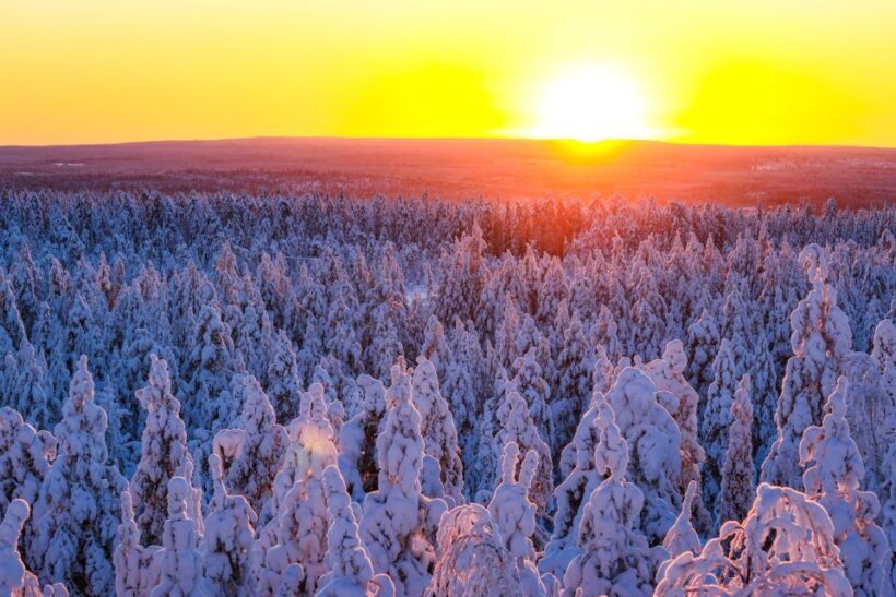 From Rovaniemi: Guided Lapland Snowmobile Adventure - An Authentic Arctic Ride with Stunning Views