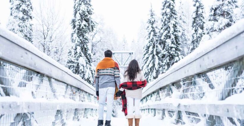 From Rovaniemi: Private Photoshoot in the Lappish Wilderness - What to Expect Day-By-Day