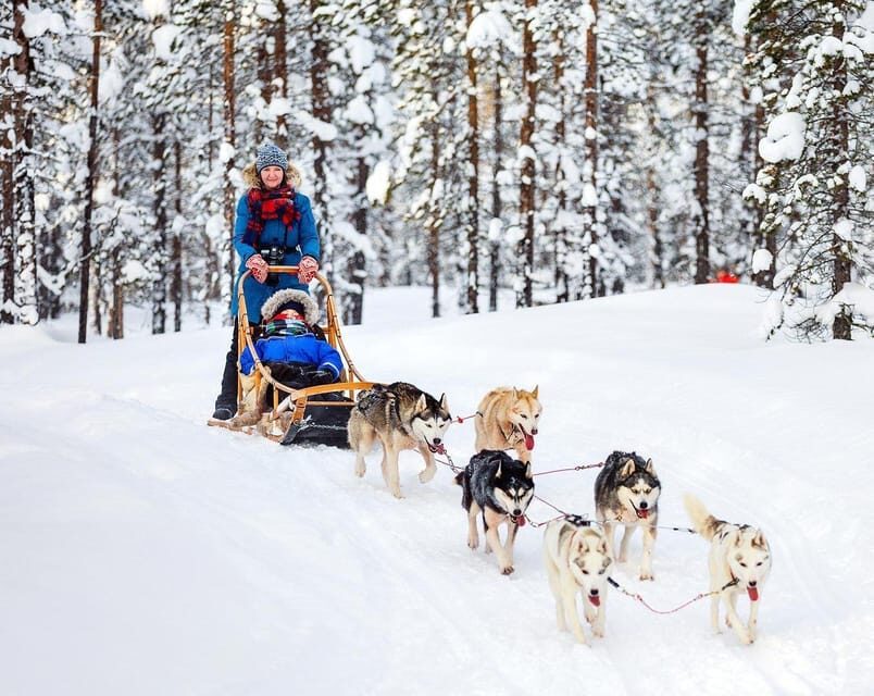From Rovaniemi: Private Tour to Santa Claus Village - FAQs