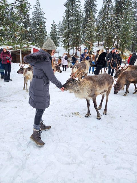 From Rovaniemi: Reindeer Farm Visit with Sleigh Ride - Authenticity and Reviews