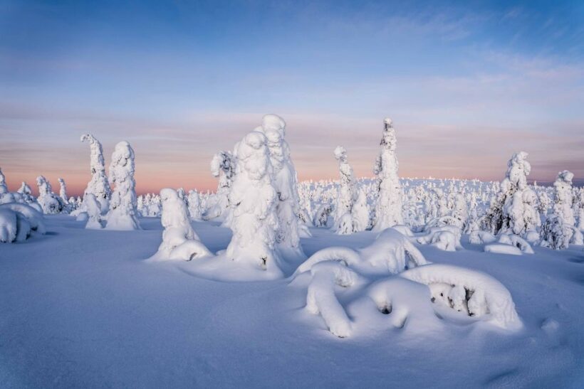 From Rovaniemi: Riisitunturi Full-Day Wilderness Adventure - Who Will Enjoy This Experience?