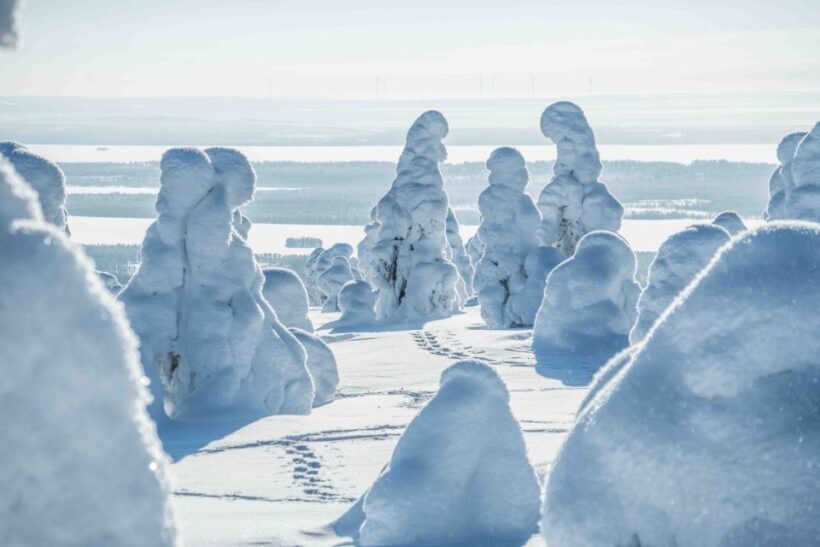 From Rovaniemi: Riisitunturi Full-Day Wilderness Adventure - FAQs