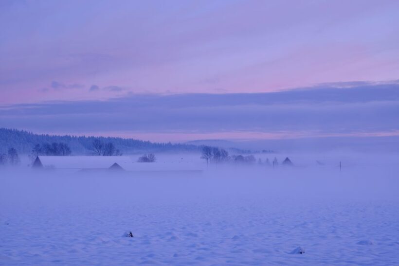 From Rovaniemi: Winter Wonderland Hike with a Hot Drink - Key Points