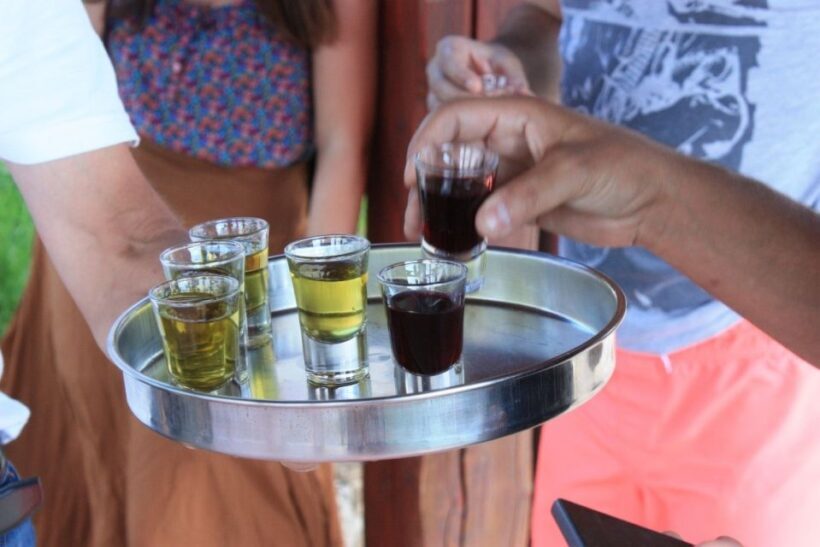 From Rovinj: Rovinj, Motovun and Gronjan Day Tour - What Travelers Are Saying