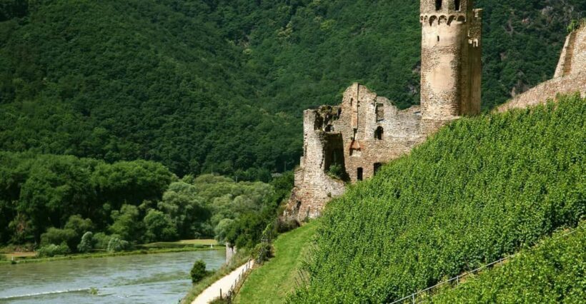 From Rüdesheim: 1.5-Hour Boat Cruise with Wine Tasting - Key Points