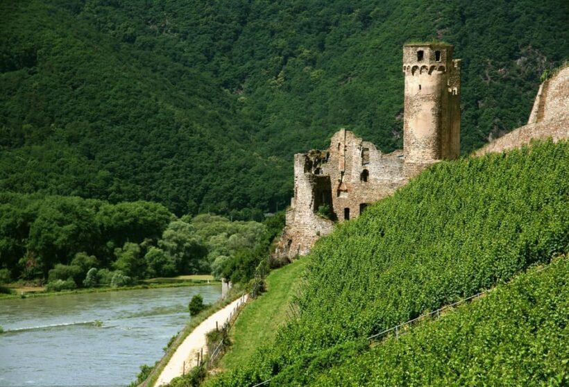 From Rüdesheim: 1.5-Hour Boat Cruise with Wine Tasting - Final Thoughts