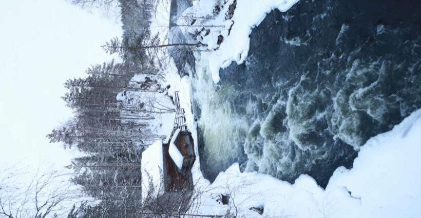 From Ruka: Snowshoeing in Oulanka National Park - The Sum Up