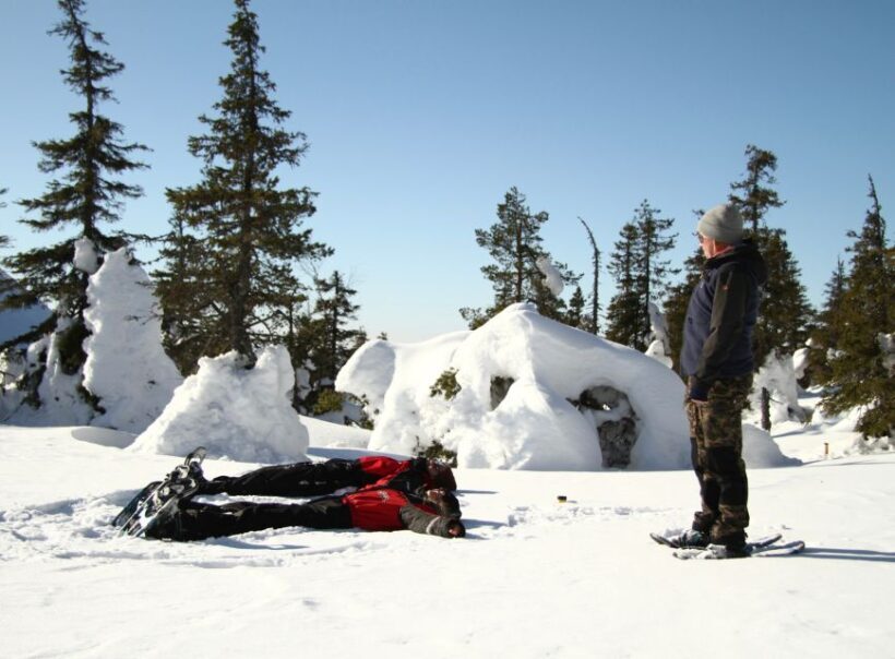 From Ruka: Snowshoeing in Riisitunturi National park - Key Points
