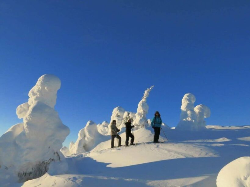 From Ruka: Snowshoeing in Riisitunturi National park - Why This Tour Offers Real Value