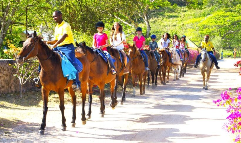 From Runaway Bay: Horseback Ride and Swim Countryside Tour - Who Should Consider This Tour?
