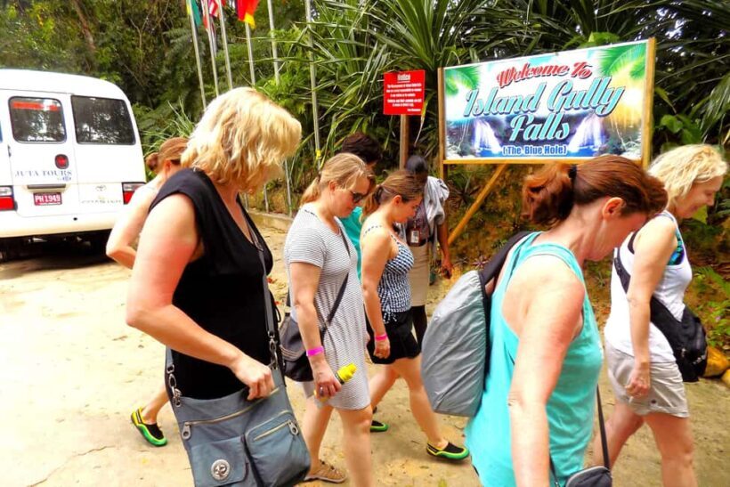 From Runaway Bay: Island Gully Falls and Blue Hole Tour - Who Should Consider This Tour?
