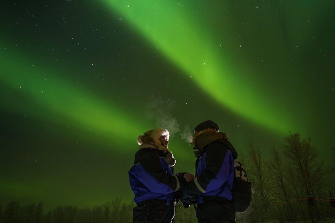 From Saariselkä: Northern Lights Tour to Lake Inari, Incl. Dinner - Disappointments and Challenges