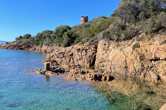 From Sagone/Cargèse: Coves of Piana sea cave Snorkeling - Who Should Consider This Tour?